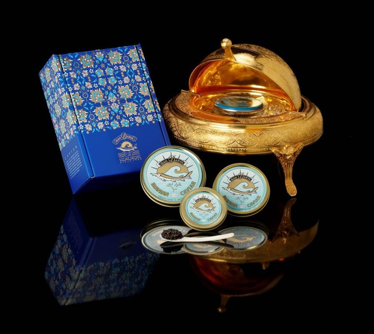 Iran Darya | Socilink